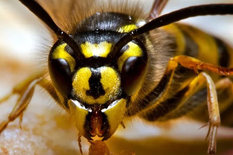 Current Mission: UNCHARTD: Suriname - Ash Dykes